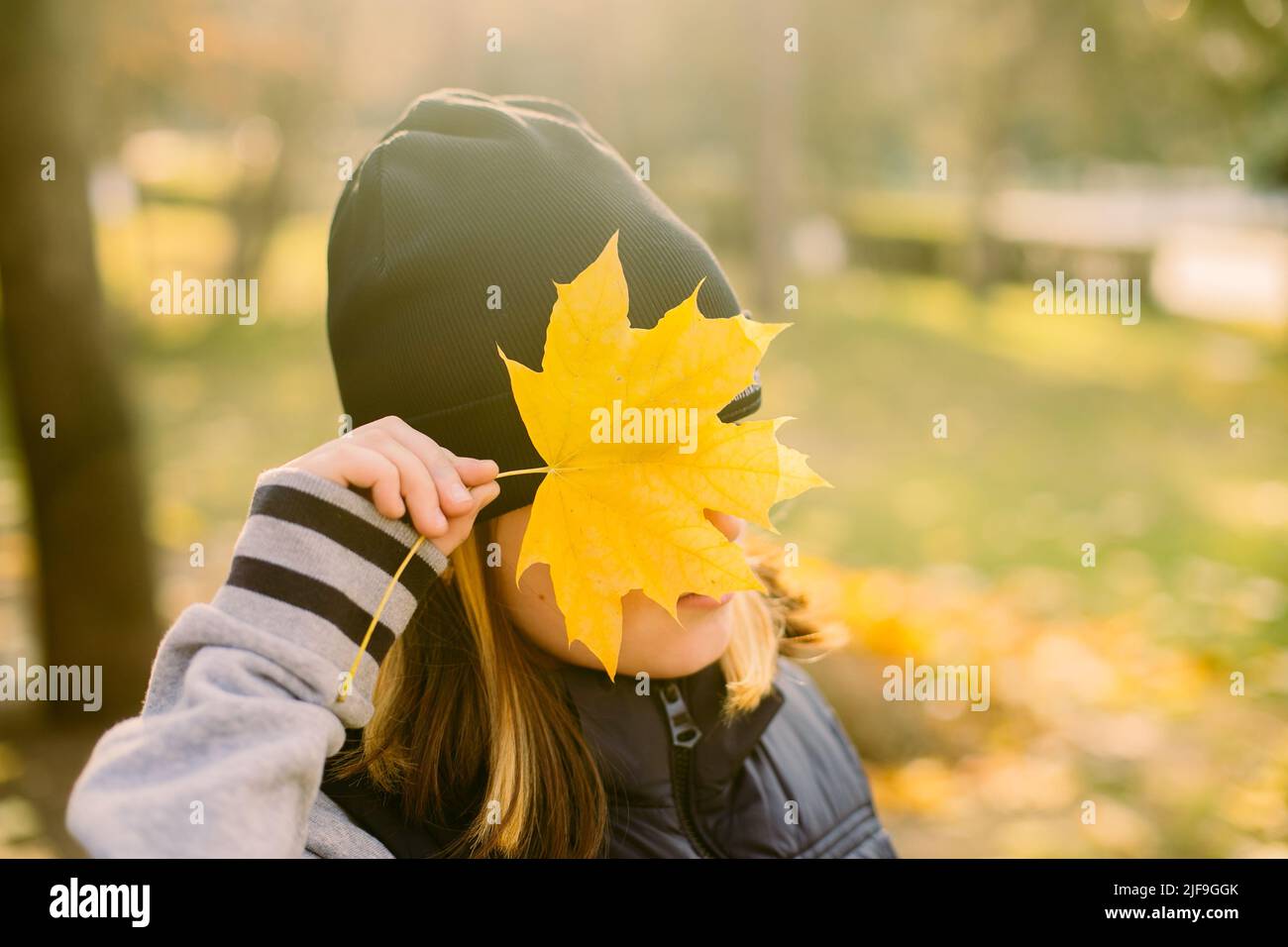 Girl in black hat closing face with yellow leaf in autumn fall park ...