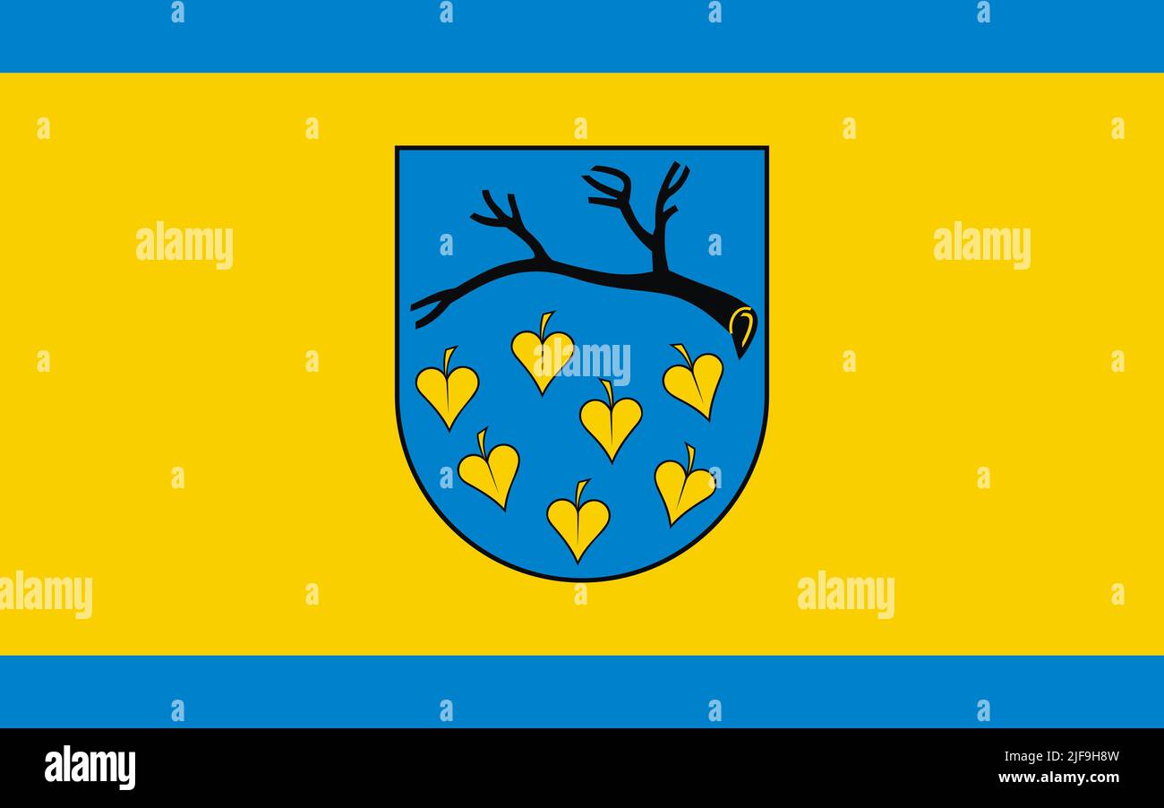 Top view of flag laziska Gorne, Poland. Polish city. travel and patriot ...