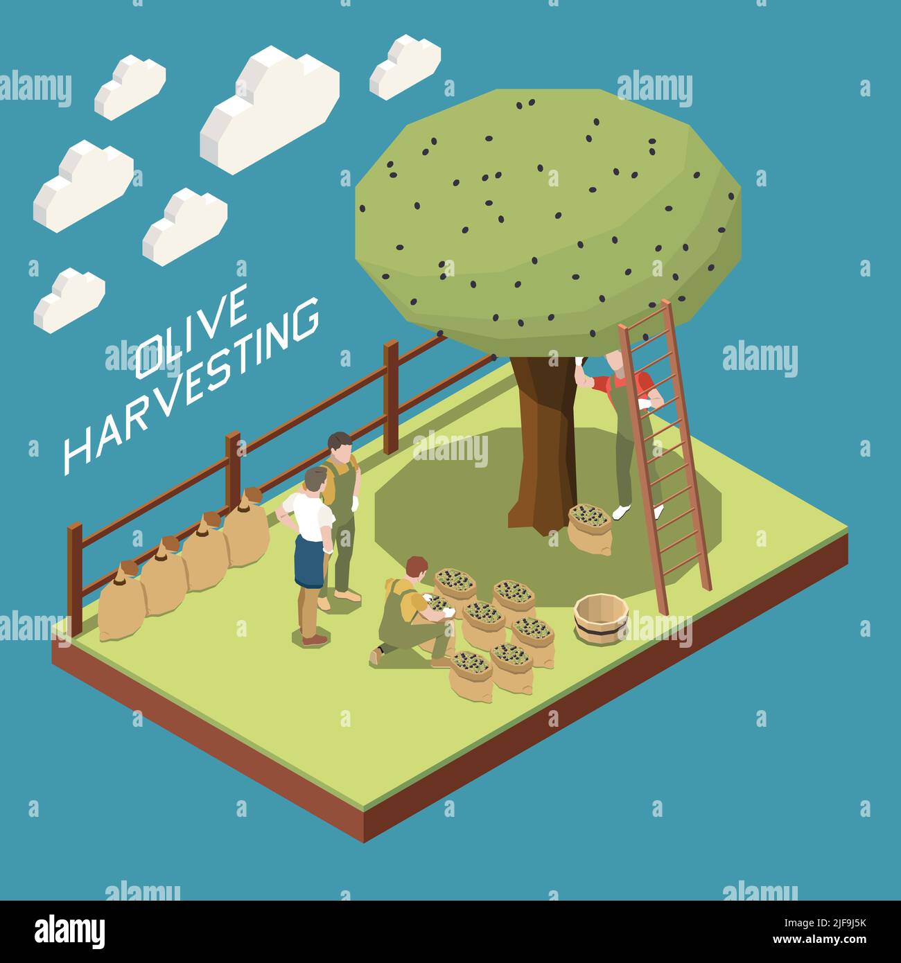 Olive production isometric composition with garden section and tree ...