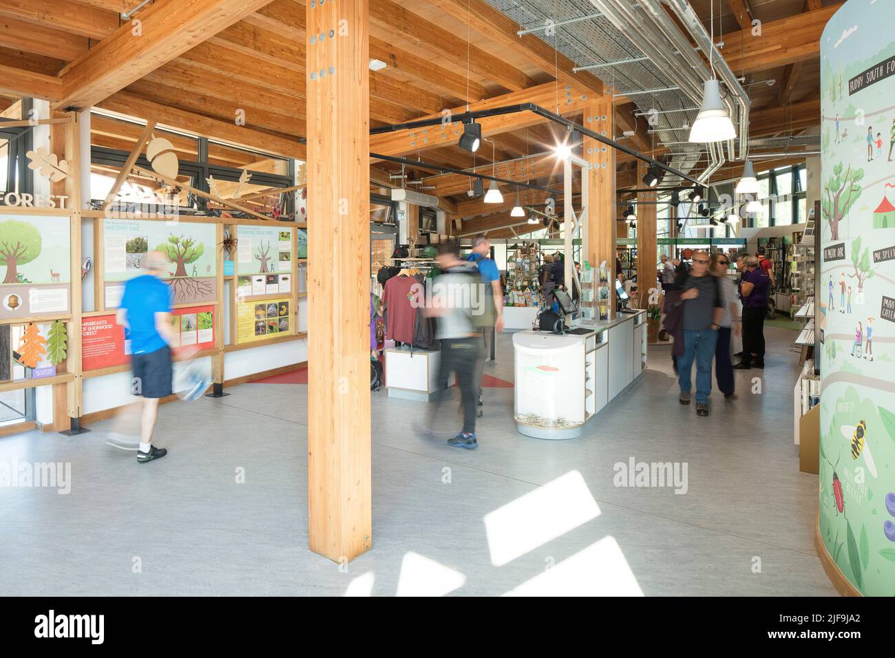 Retail shop Interiors of the visitors centre. Sherwood Forest Visitor ...
