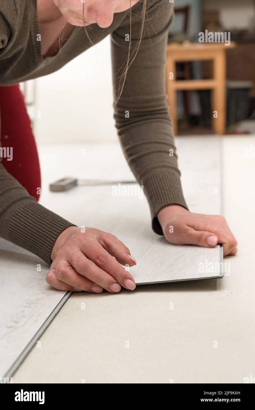 Installation of quartz vinyl floor, female master installs the floor ...