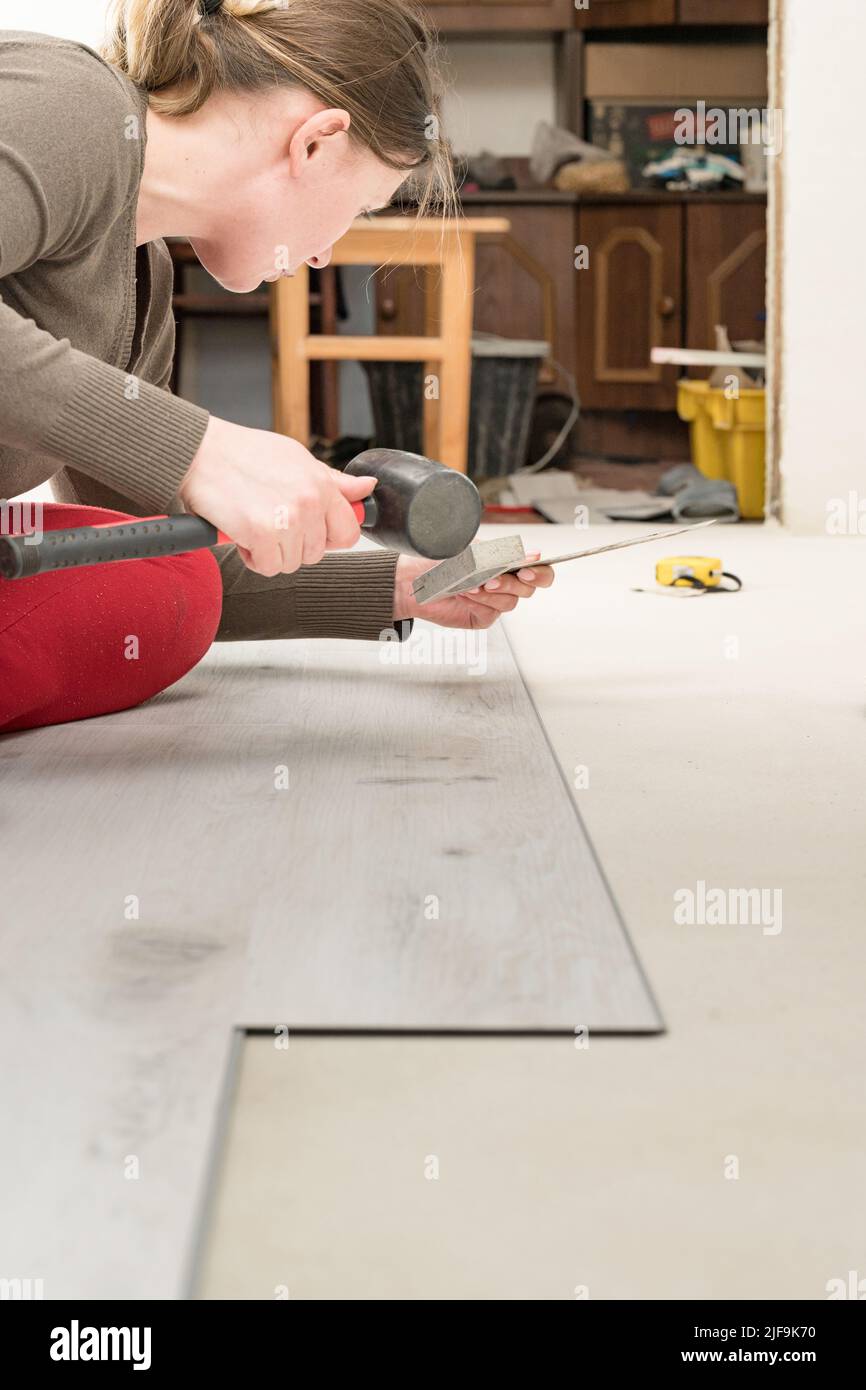 Woman installs quartz vinyl floor, installation on a flat surface ...