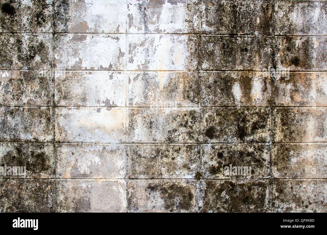 Hi res grunge brick wall background and texture for any design Stock ...