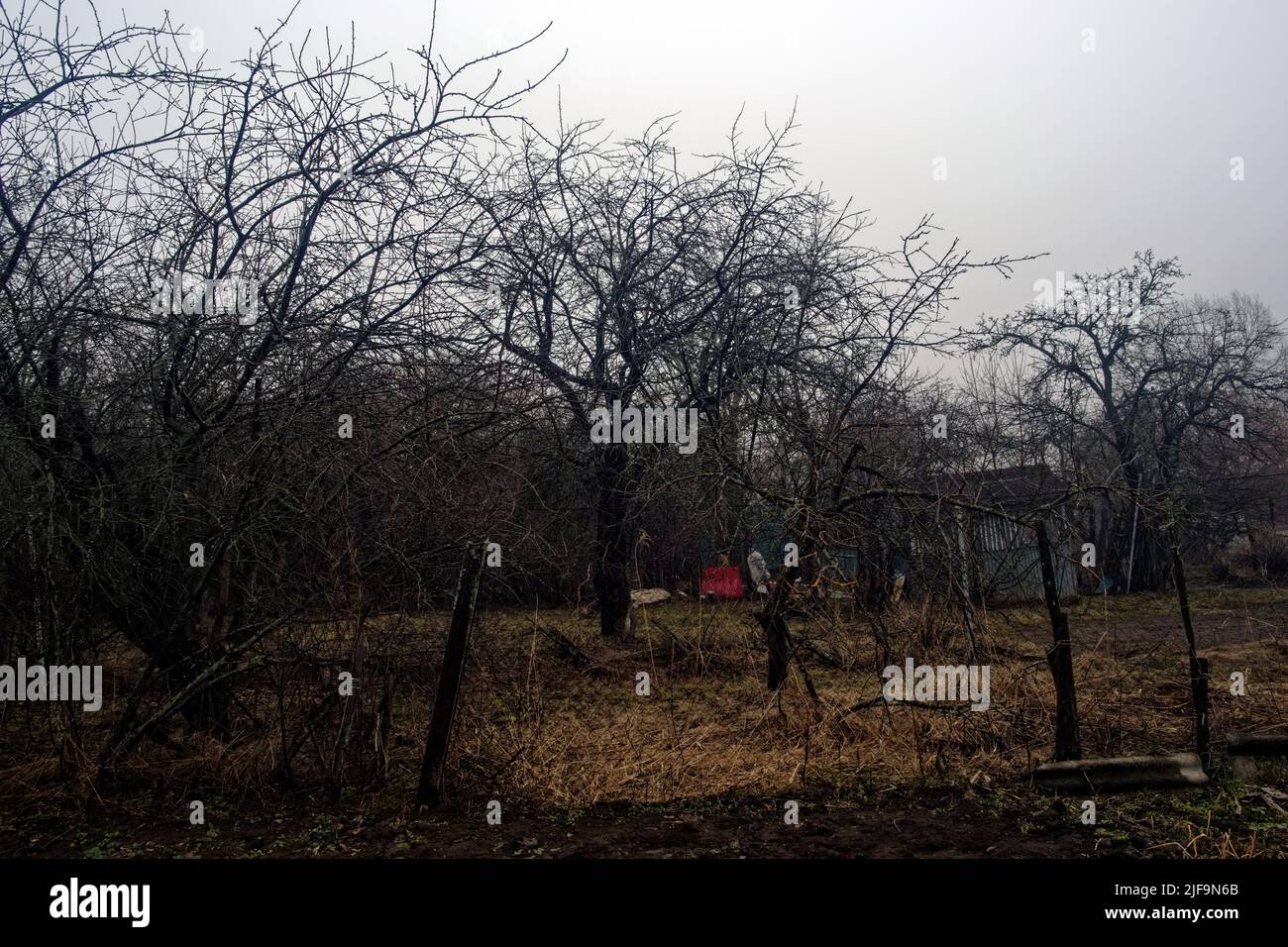 Spring shed hi-res stock photography and images - Alamy