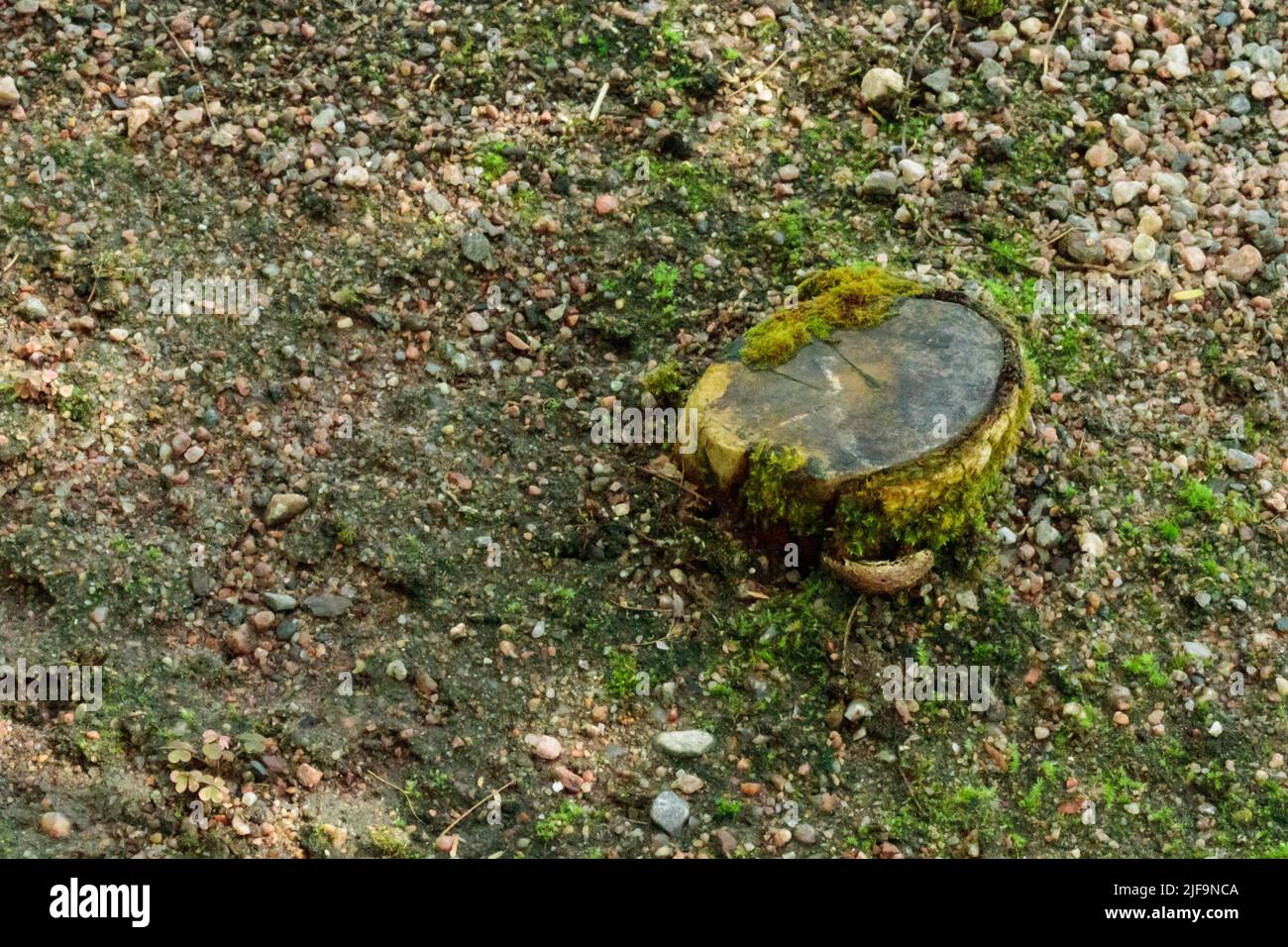 Seamless dirt road texture background top view Stock Photo - Alamy