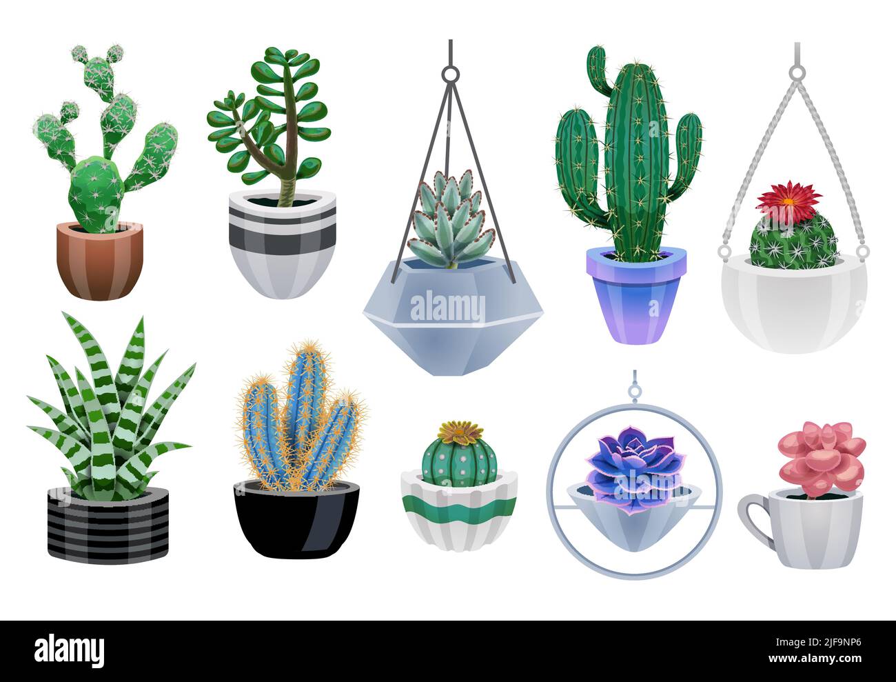 Cactus in pot set with isolated icons of colourful cactus plants and ...