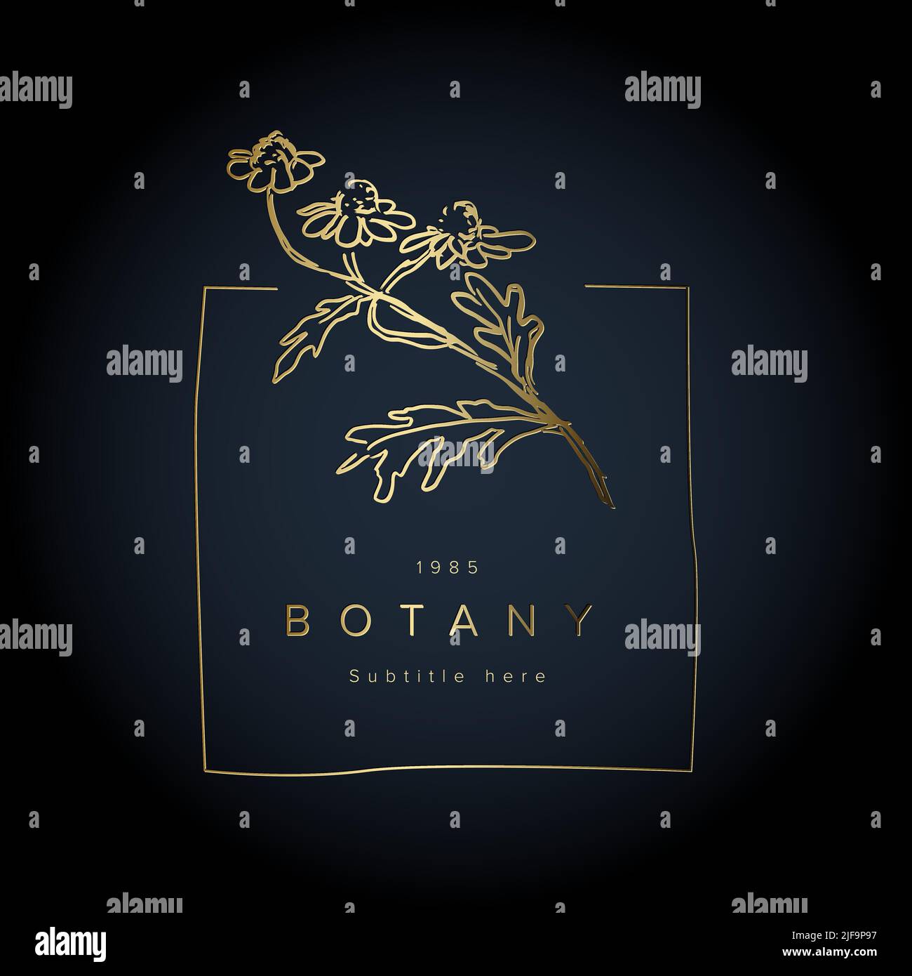 Minimalist floral emblem sign geometry dquare frame template made from ...