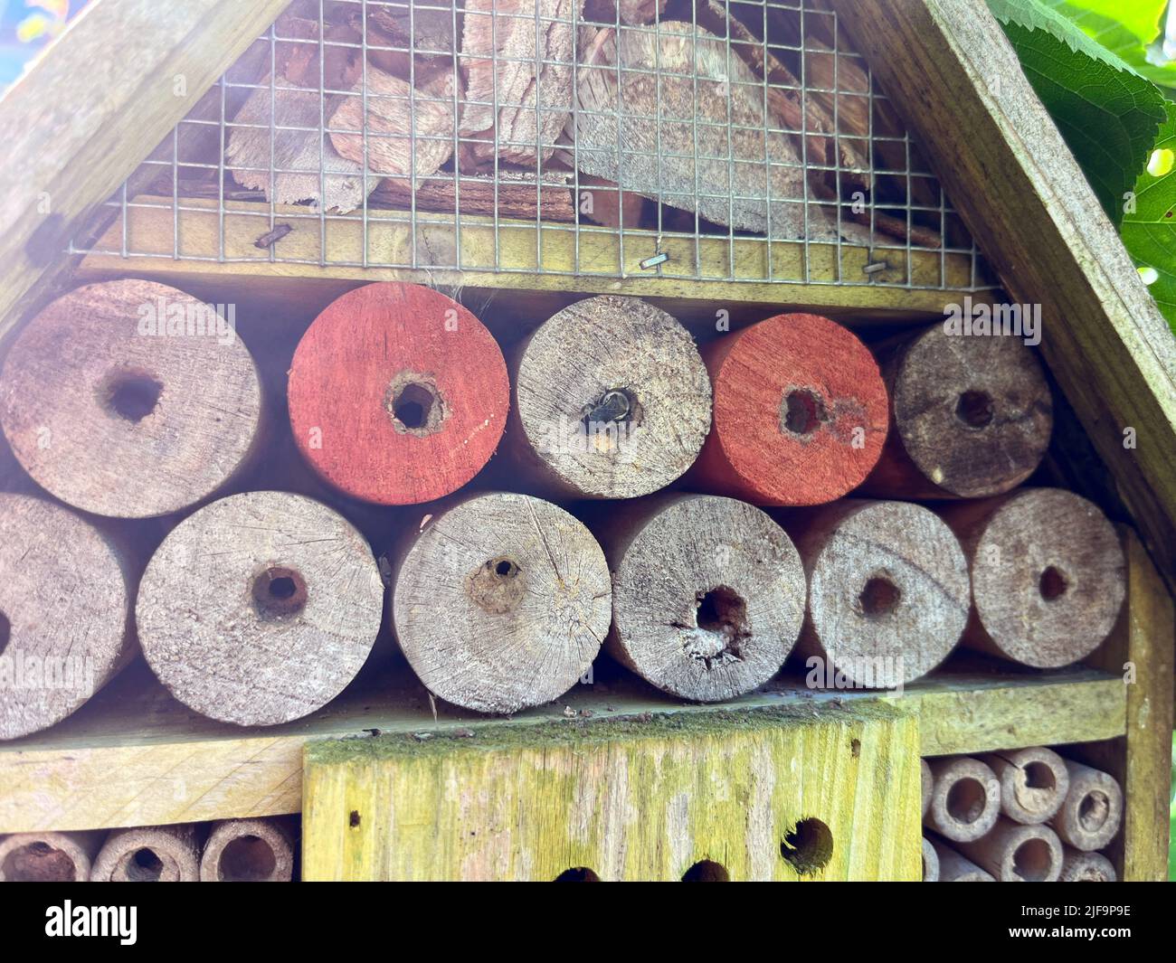 Insect hotel Bee hotel with small tubes of bamboo Stock Photo - Alamy