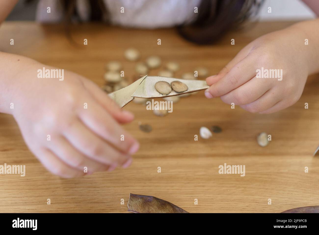 Encapsulated seeds hi-res stock photography and images - Alamy