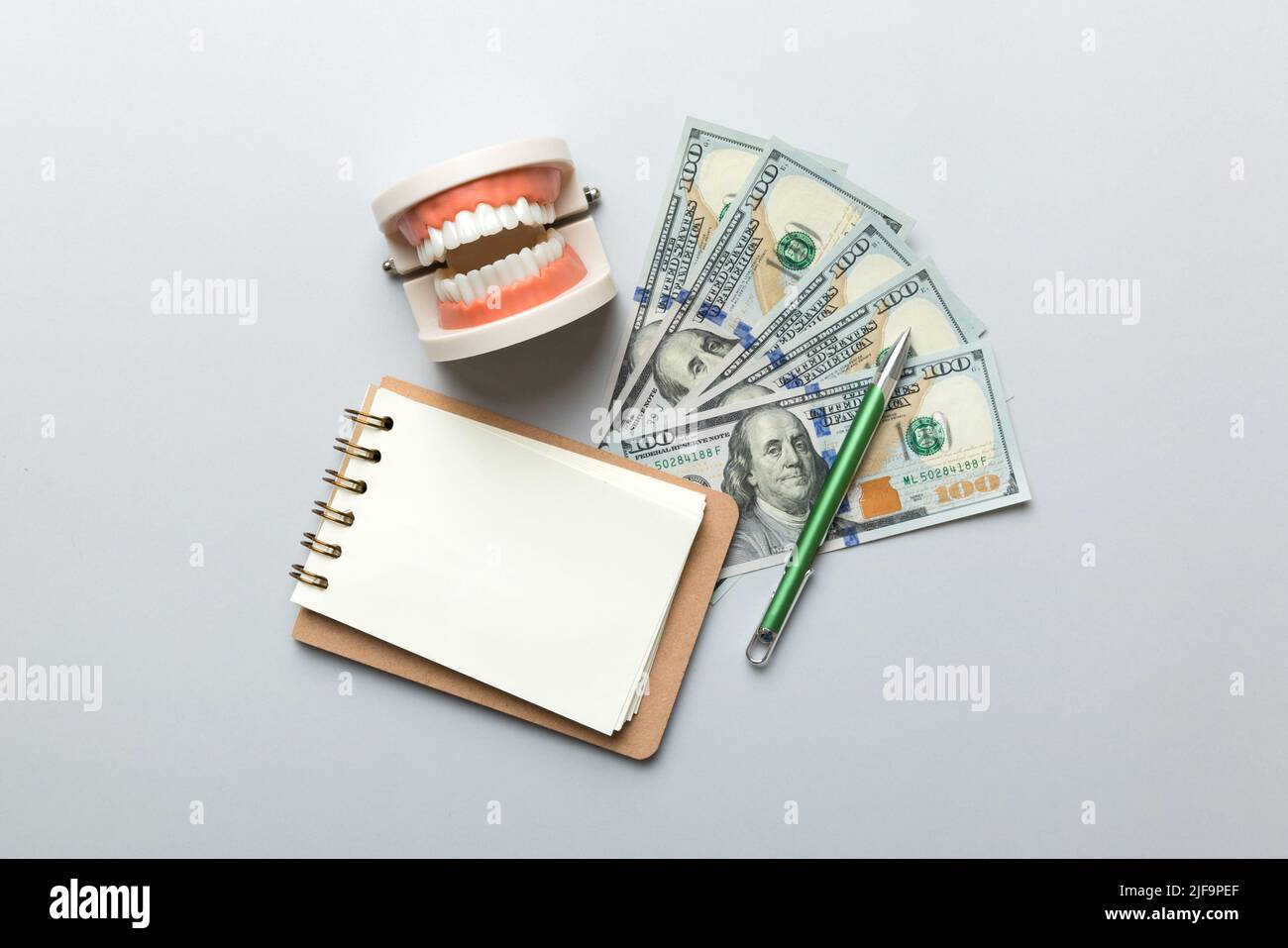 Flat lay composition with educational dental typodont model and money ...