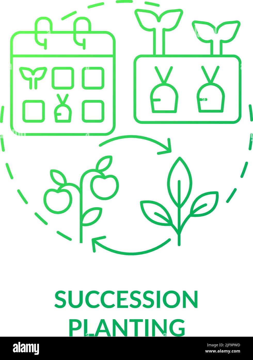 Succession order Stock Vector Images - Alamy