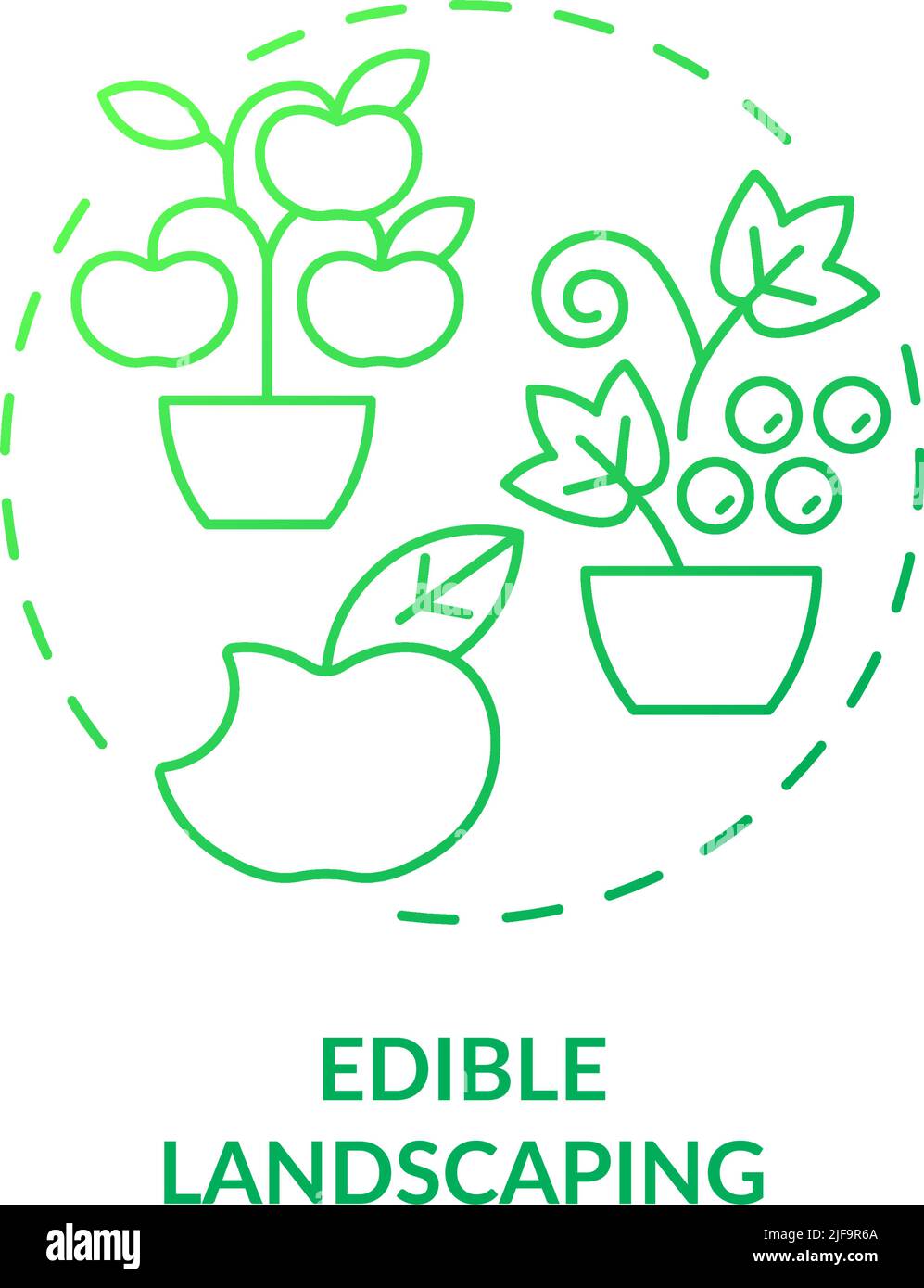 Edible landscaping green gradient concept icon Stock Vector Image & Art ...