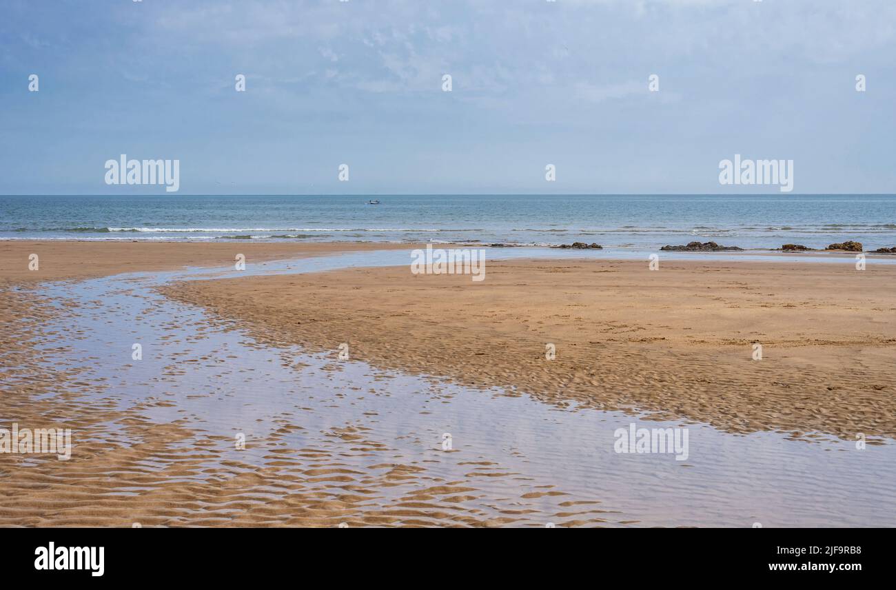 A channel of water meanders across a beach to the sea. Seaweed is ...