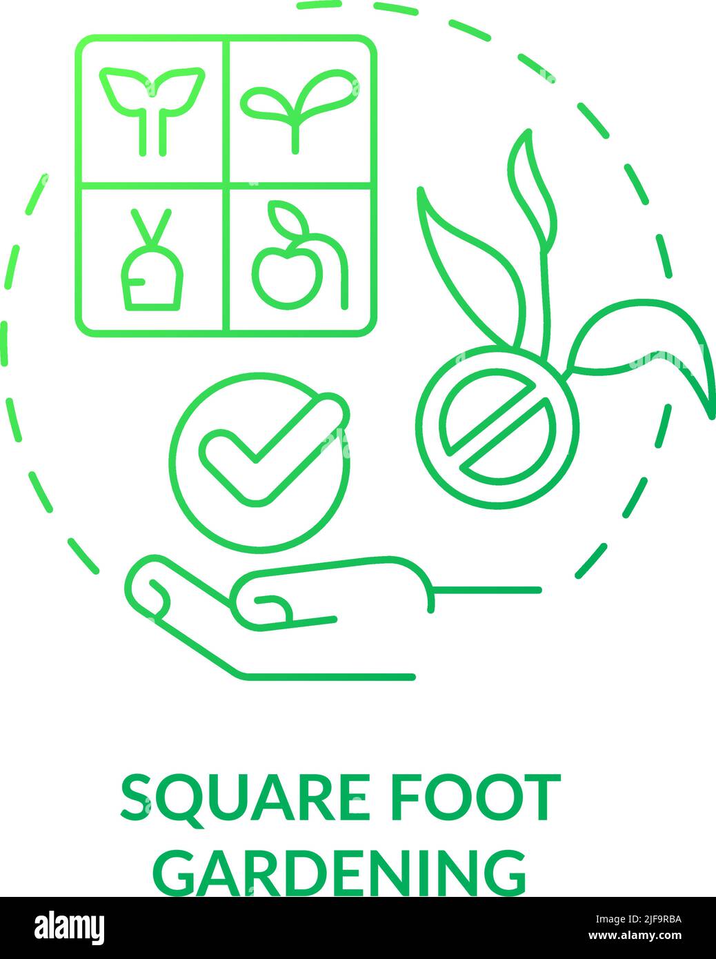 Square foot vegetable Stock Vector Images - Alamy