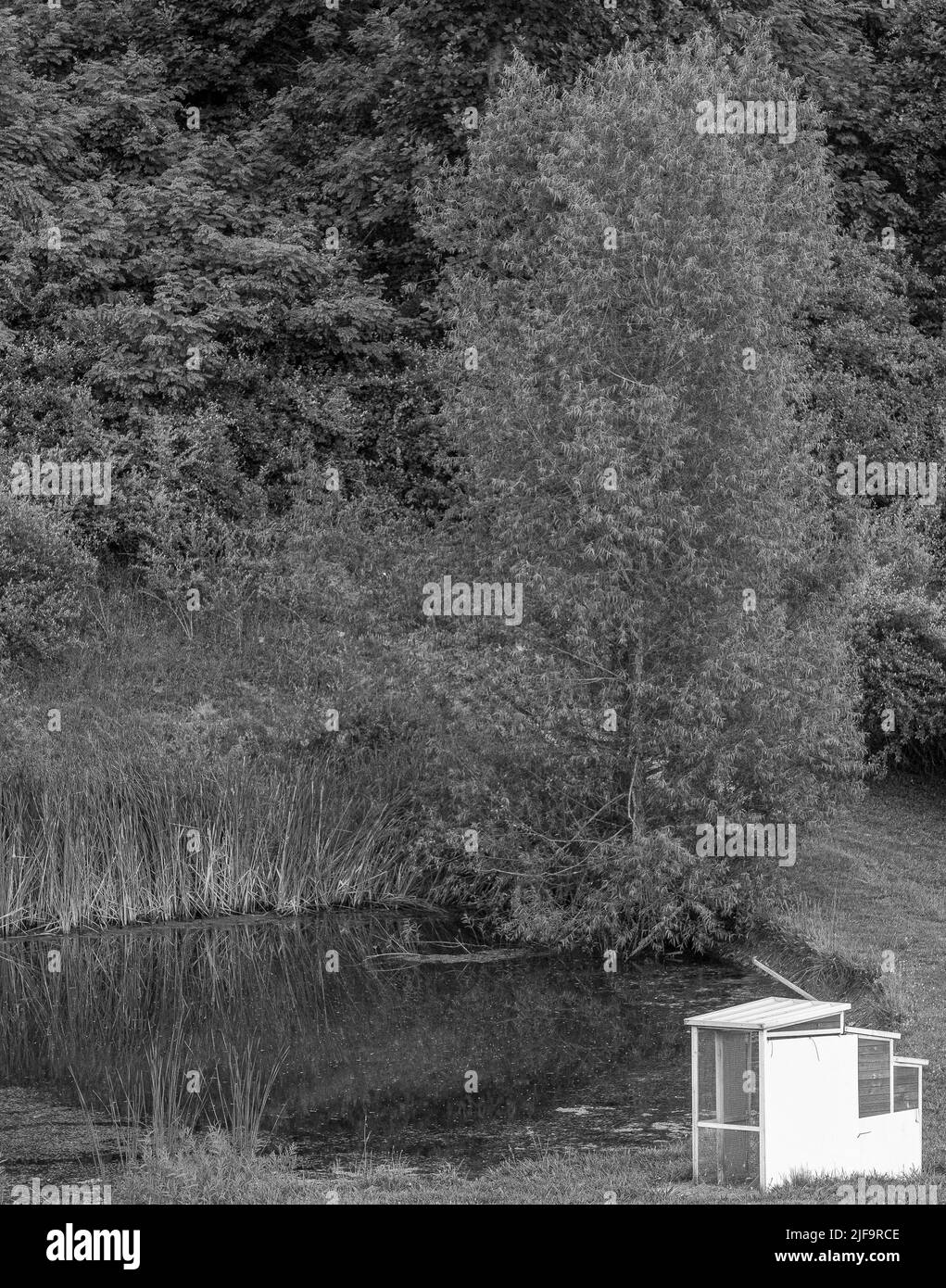 Garden small pond water Black and White Stock Photos & Images - Alamy