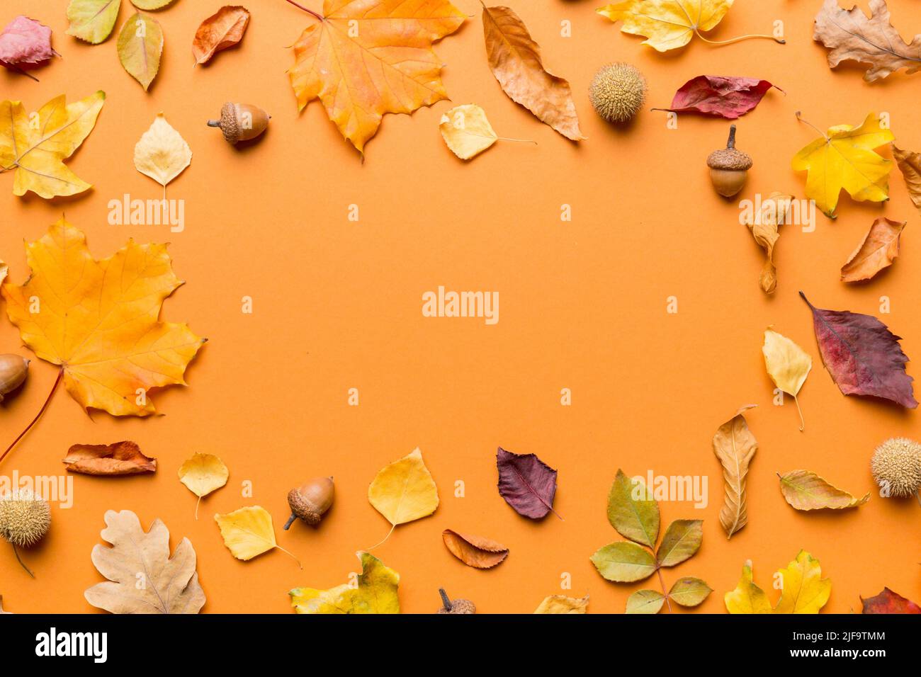 Autumn composition made of dried leaves, cones and acorns on table ...