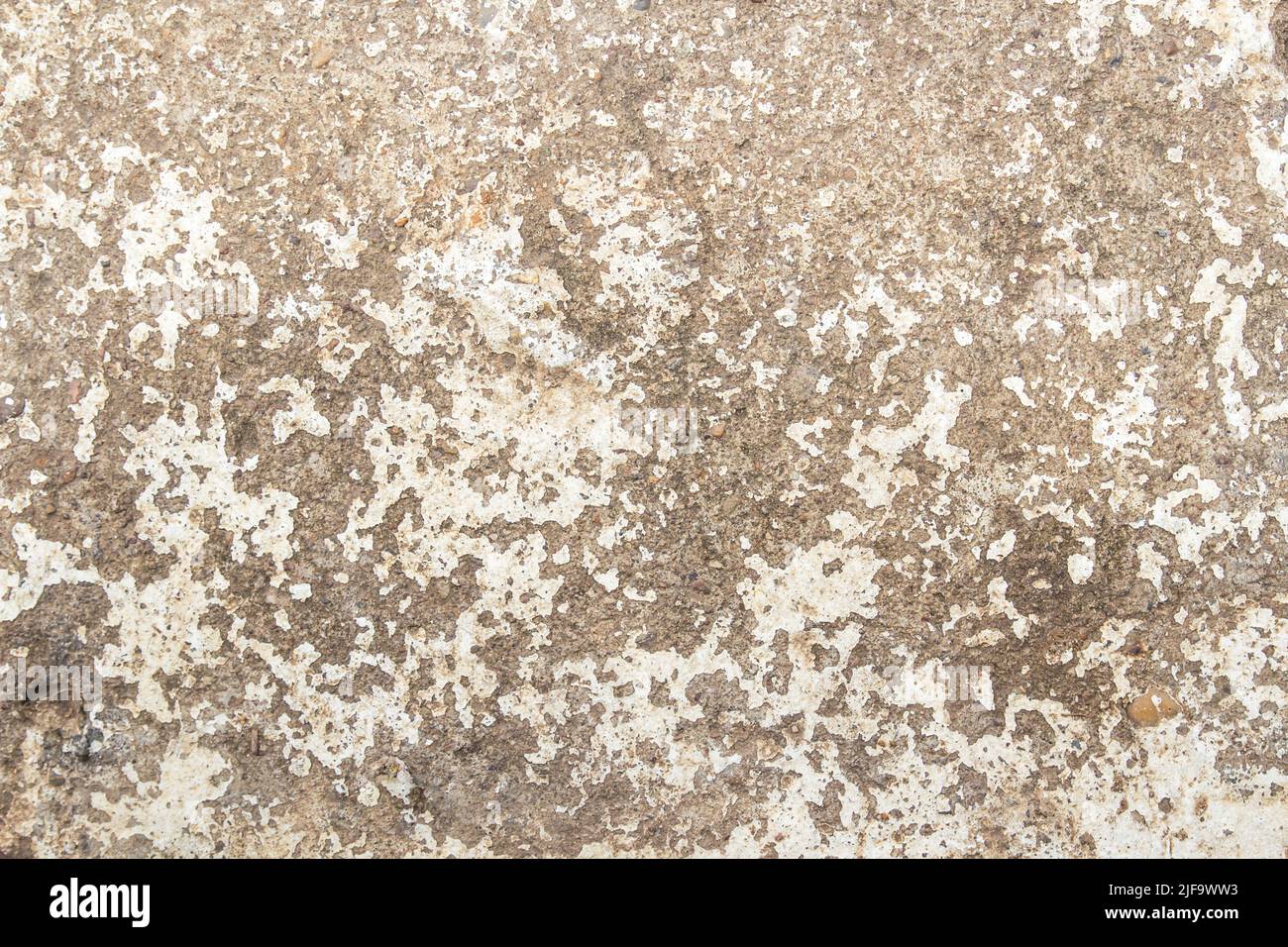 Hi res grunge background and texture for any design Stock Photo - Alamy