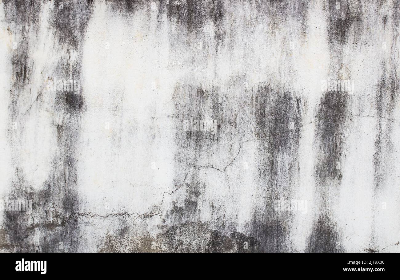 Hi res grunge background and texture for any design Stock Photo - Alamy