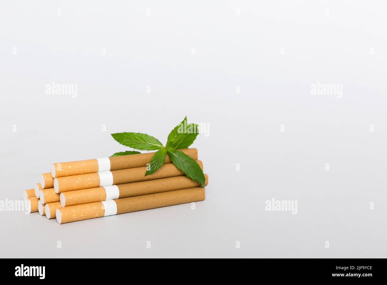Menthol cigarettes and fresh mint leaves on colored background, Many ...