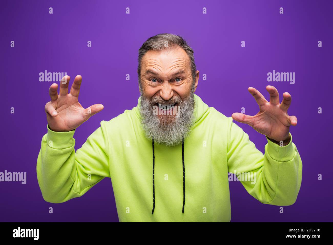 bearded senior man grimacing while gesturing and making scared on ...