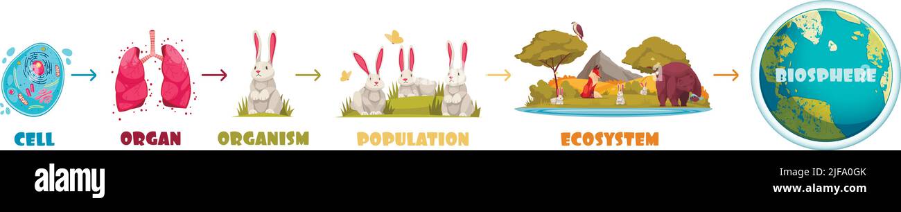 Biological Ecosystem