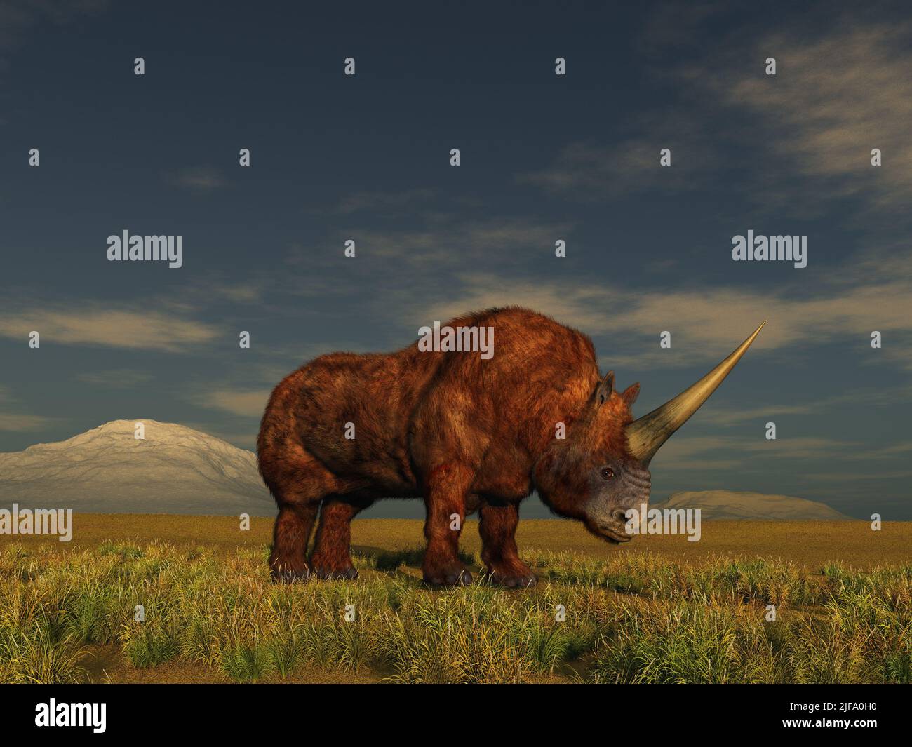 Elasmotherium hi-res stock photography and images - Alamy