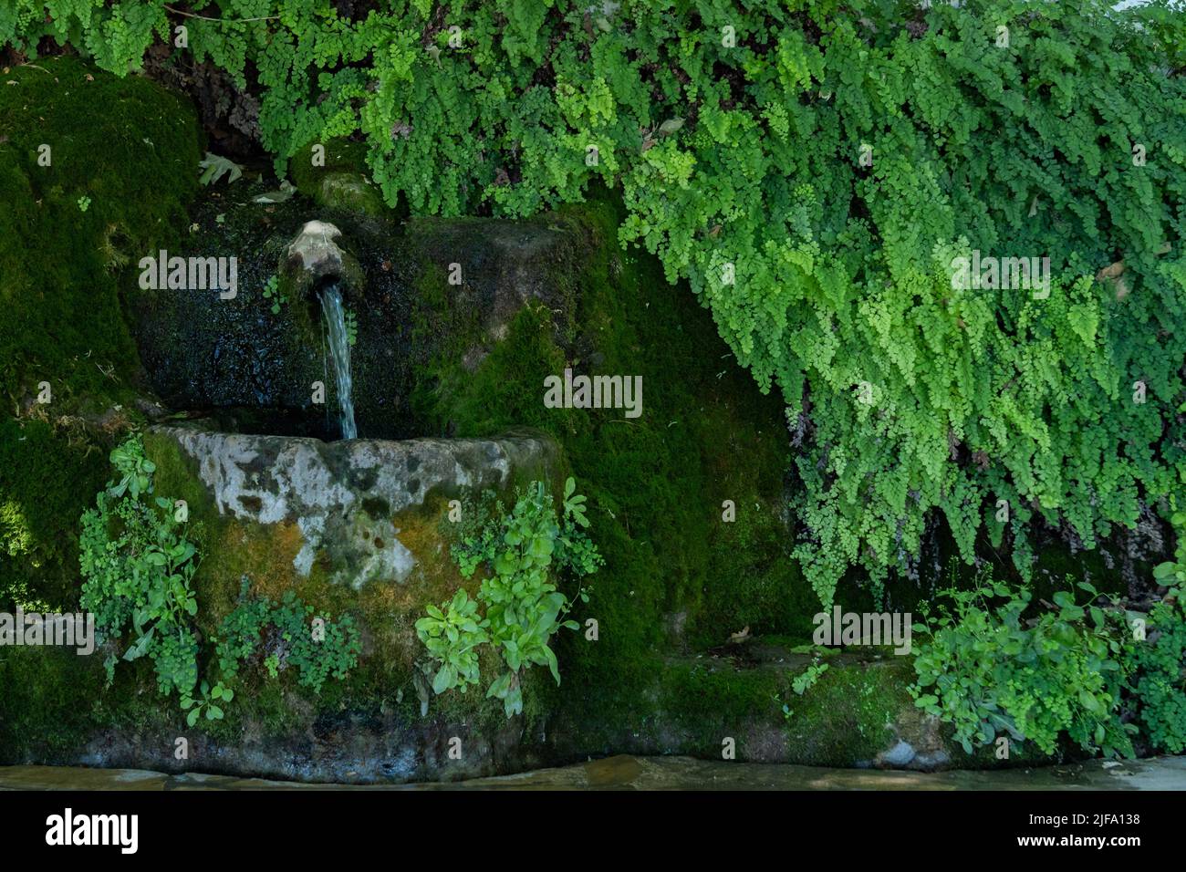 crystalline water natural spring with stone vessel covered with ...