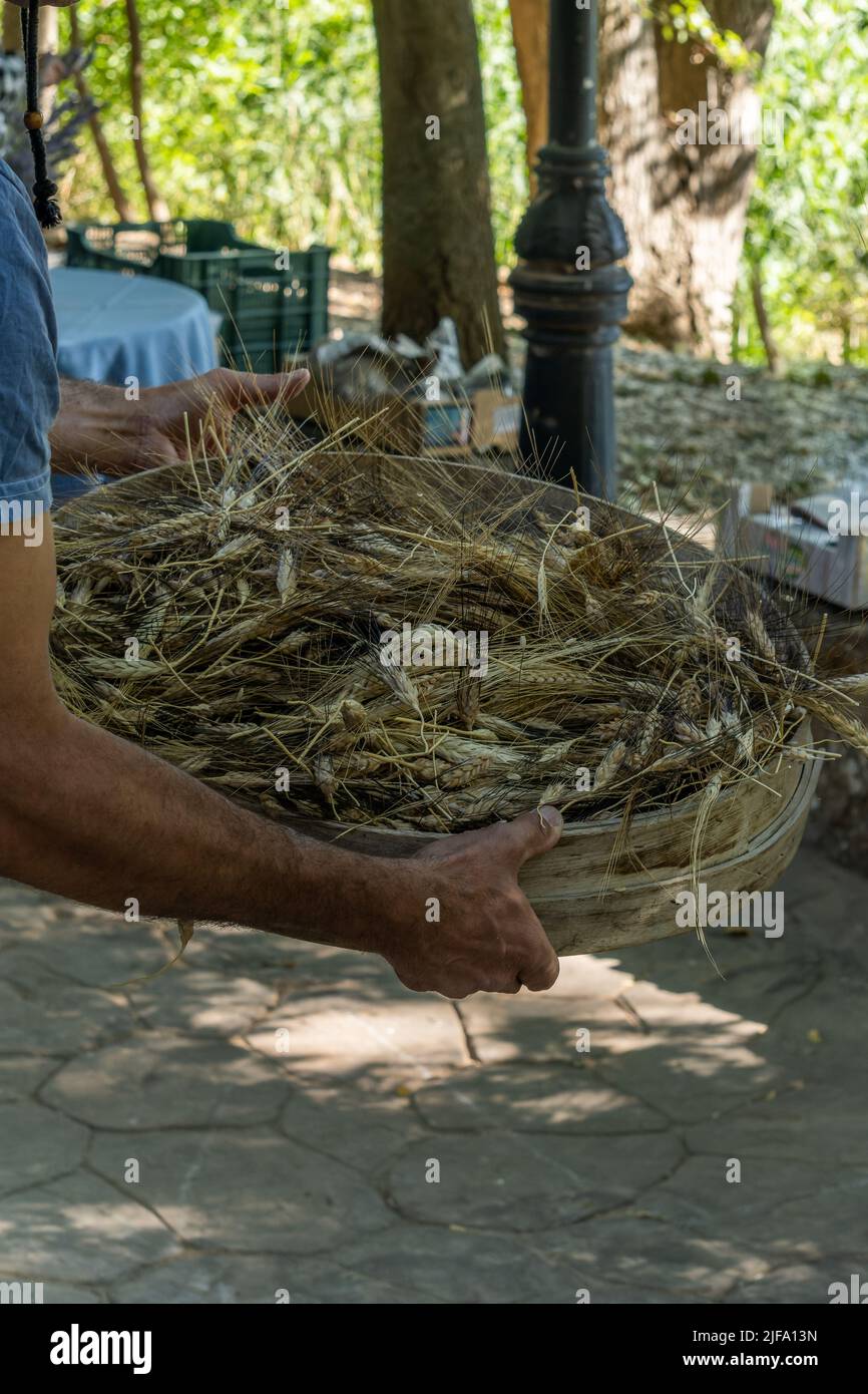 Human hands holding a basket of bread hi-res stock photography and ...