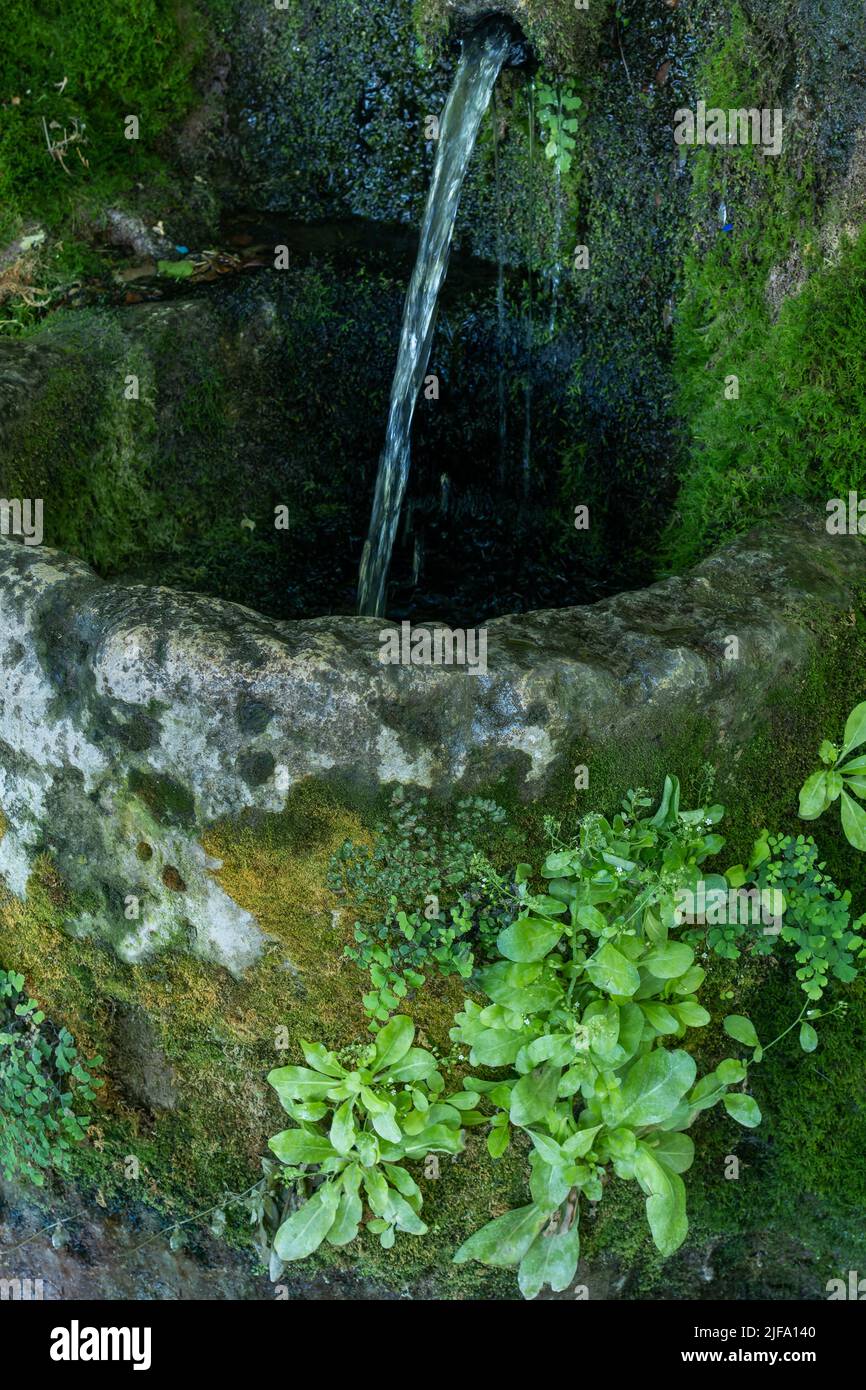 crystalline water natural spring with stone vessel covered with ...