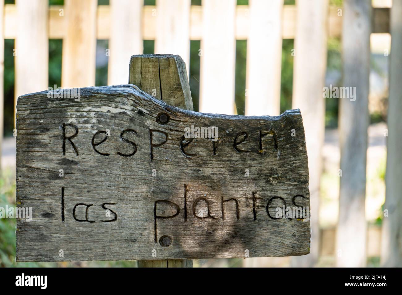 respect the plants sign in Spanish , carved in wood Stock Photo - Alamy