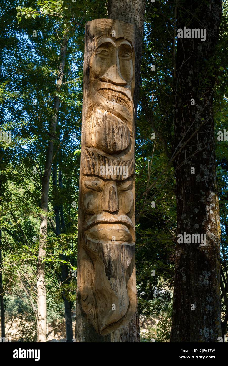 totem carved on the trunk of a tree in the forest Stock Photo - Alamy