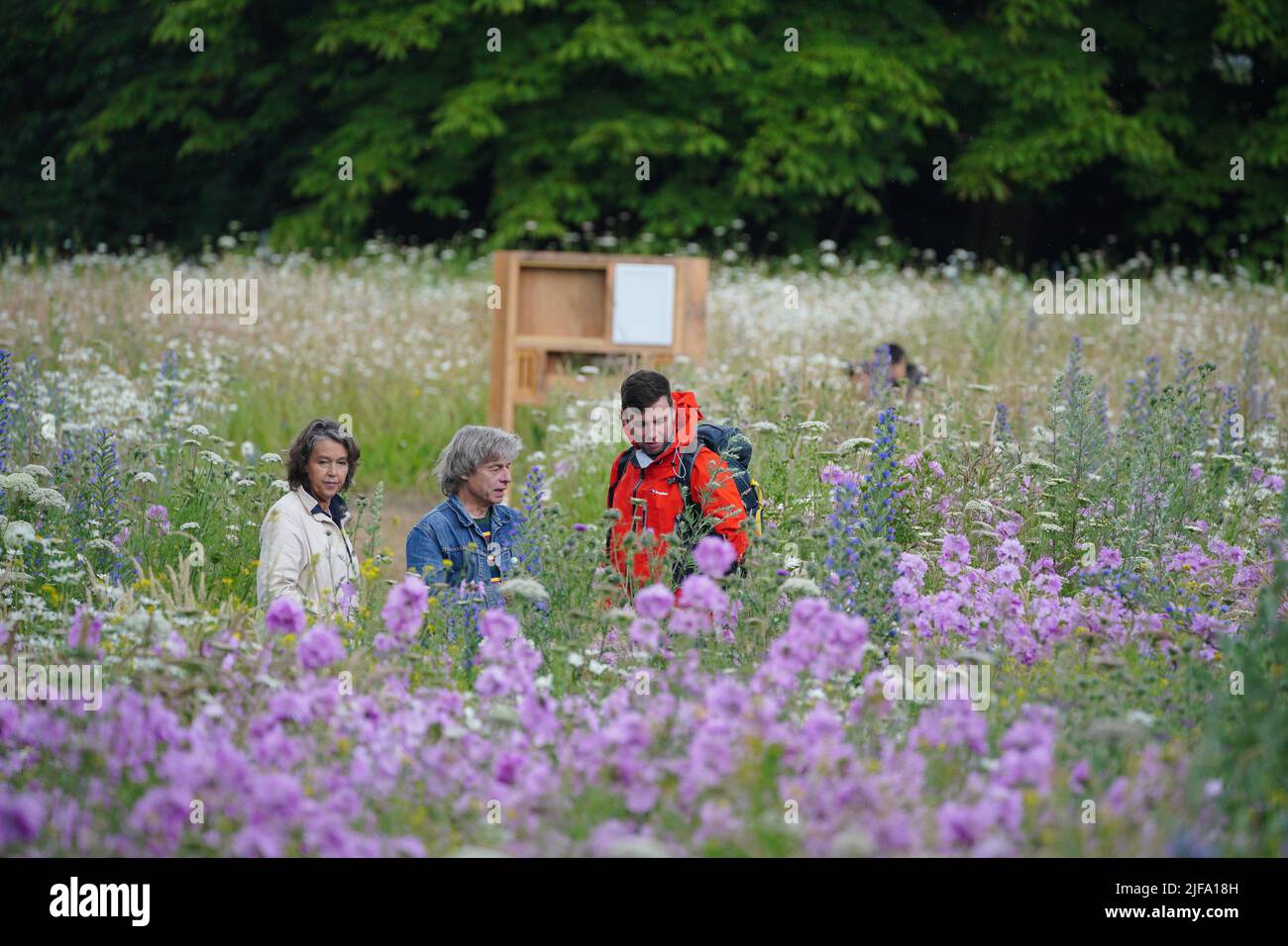 Richard Scott, Director of the National Wildflower Centre at the Eden ...