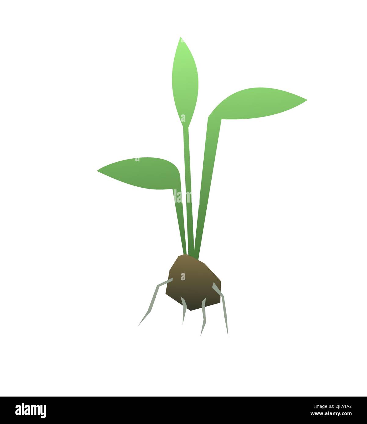 Seedling garden plants with roots. Sowing agricultural material ...