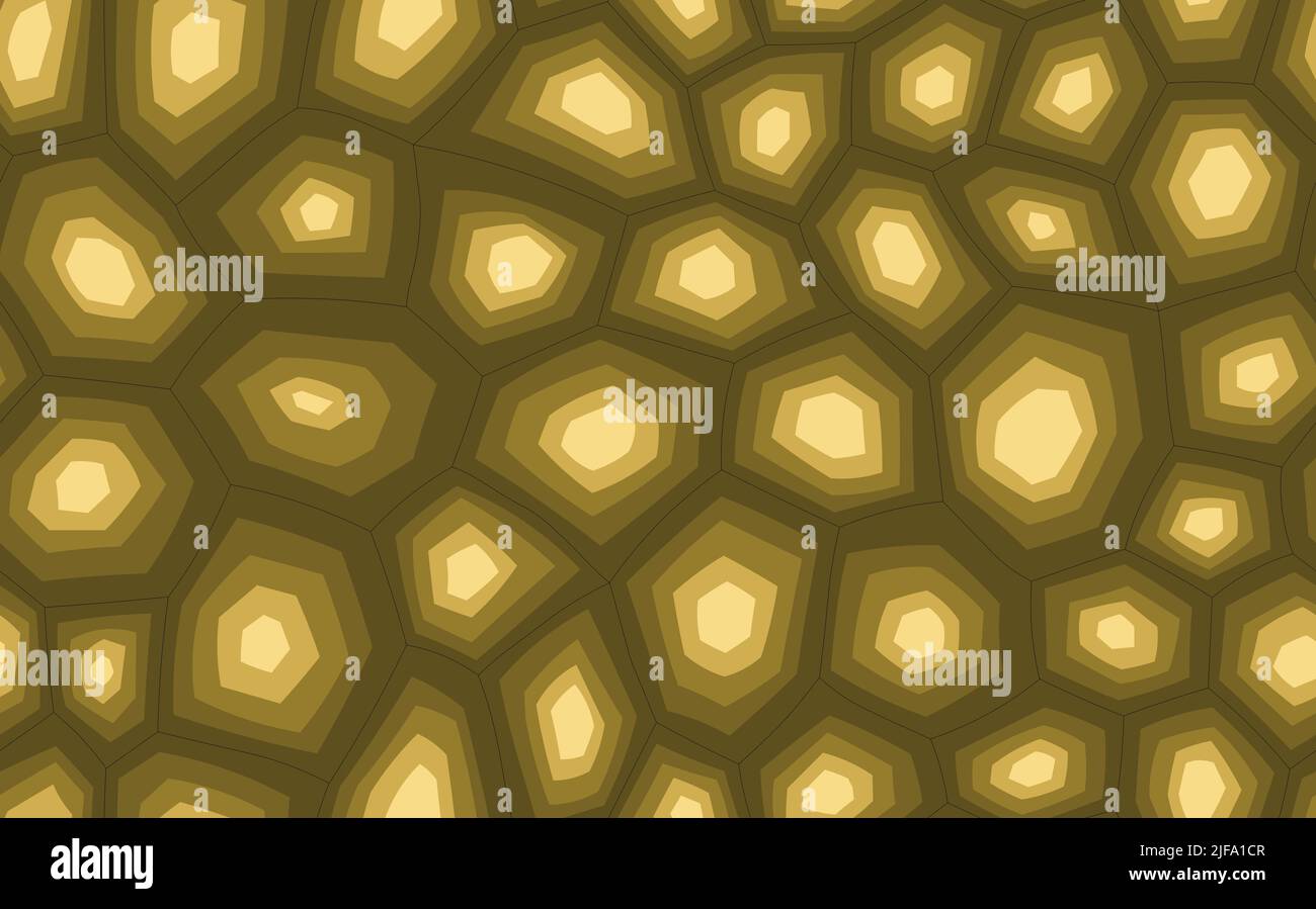 Abstract modern turtle shell seamless pattern. Animals trendy ...