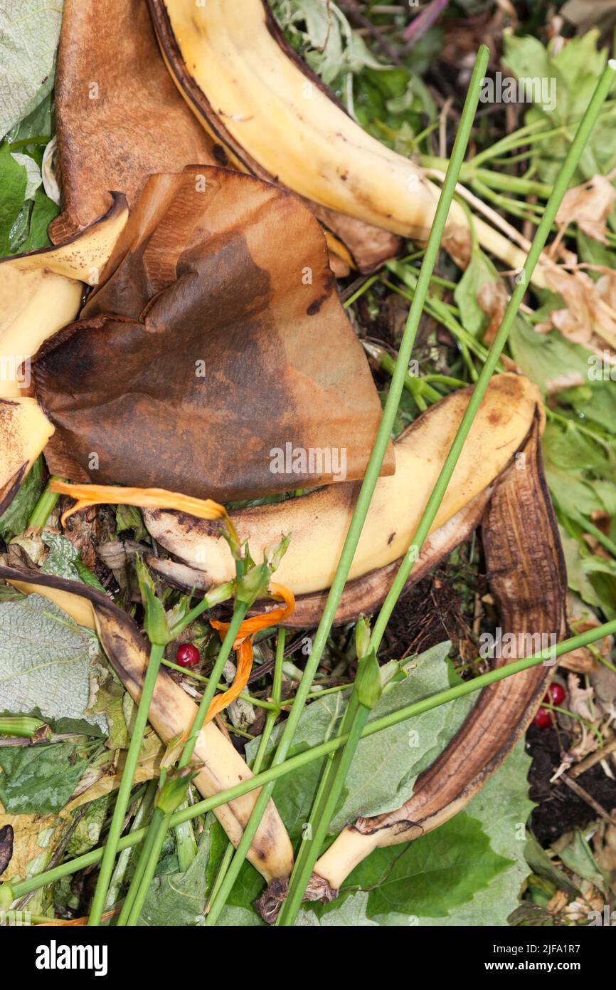 Compost heap in a garden, Germany Stock Photo - Alamy