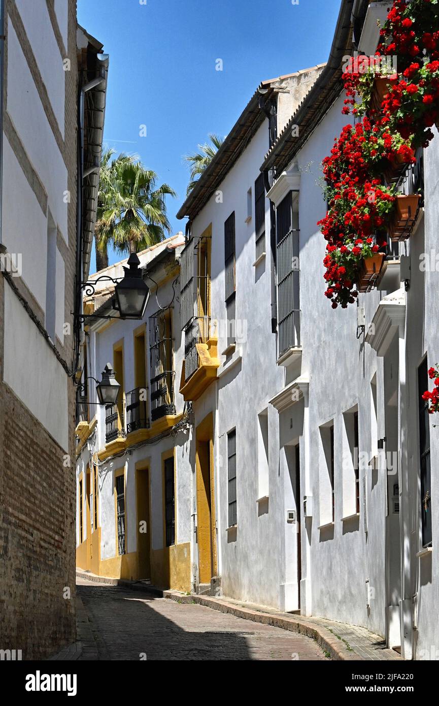Street in Cordoba, Spain Stock Photo - Alamy