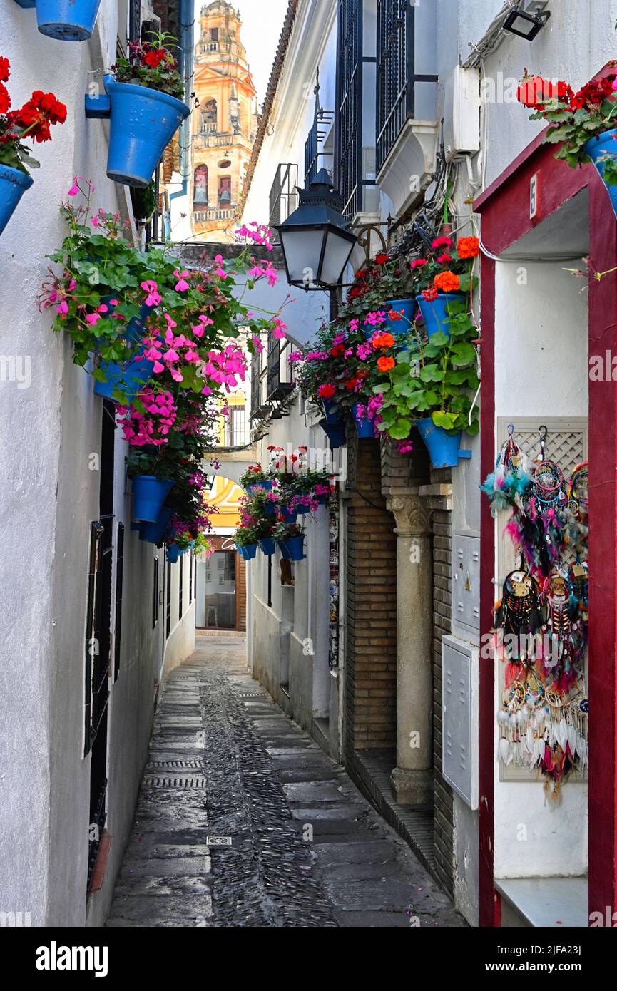 Narrow street with flowers, Cordoba, Spain Stock Photo - Alamy