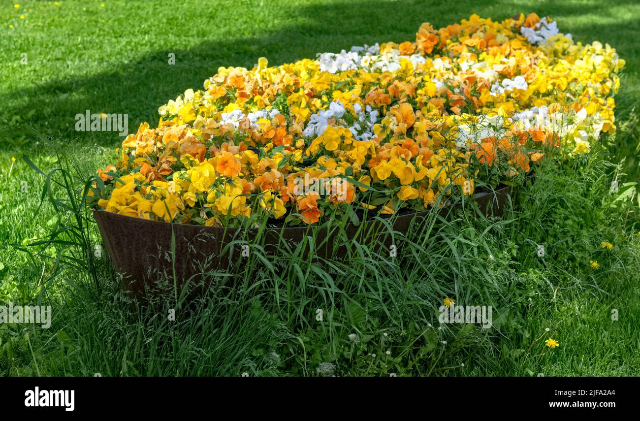Norwegian floral displays hi-res stock photography and images - Alamy