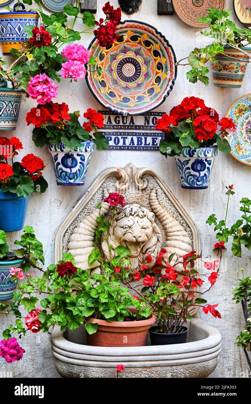 Typical Spanish floral display Stock Photo - Alamy