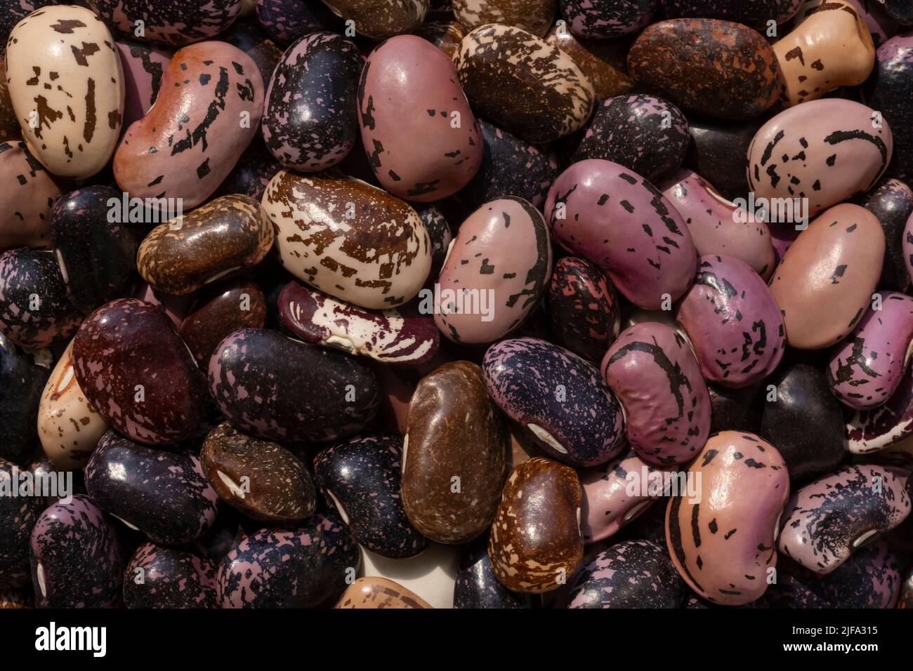 Colorful beans hi-res stock photography and images - Alamy