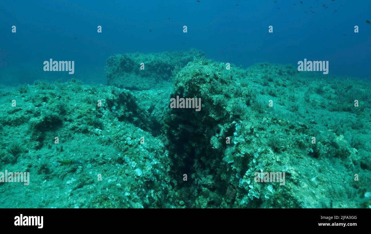 School of fish swims above crack in the seabed over tectonic plates ...
