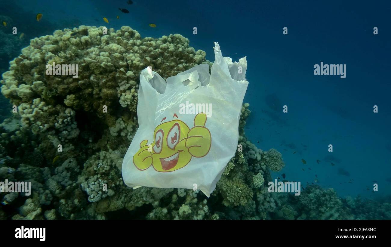 White plastic shoping bag with smiley face drifting underwater near ...