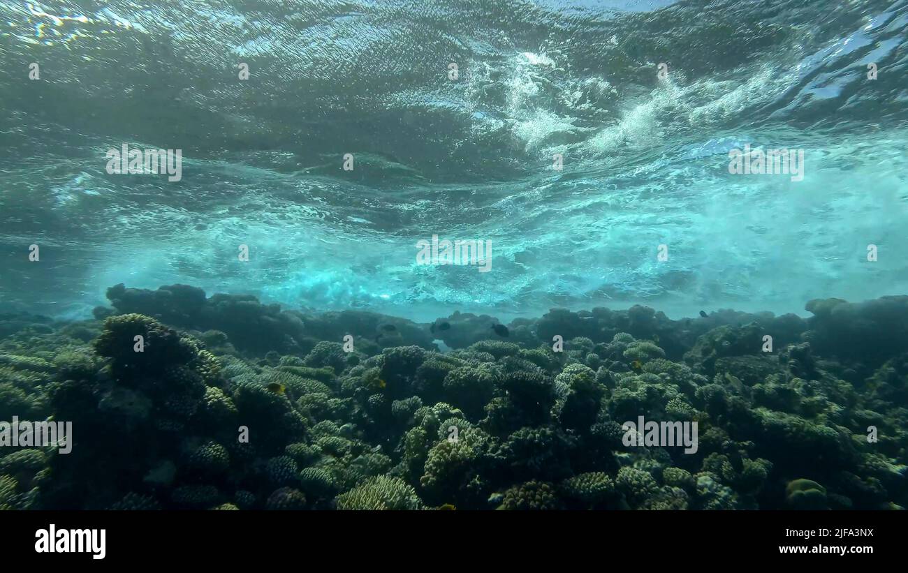 Storm waves above coral reef. Underwater shot. Red sea, Efypt Stock ...