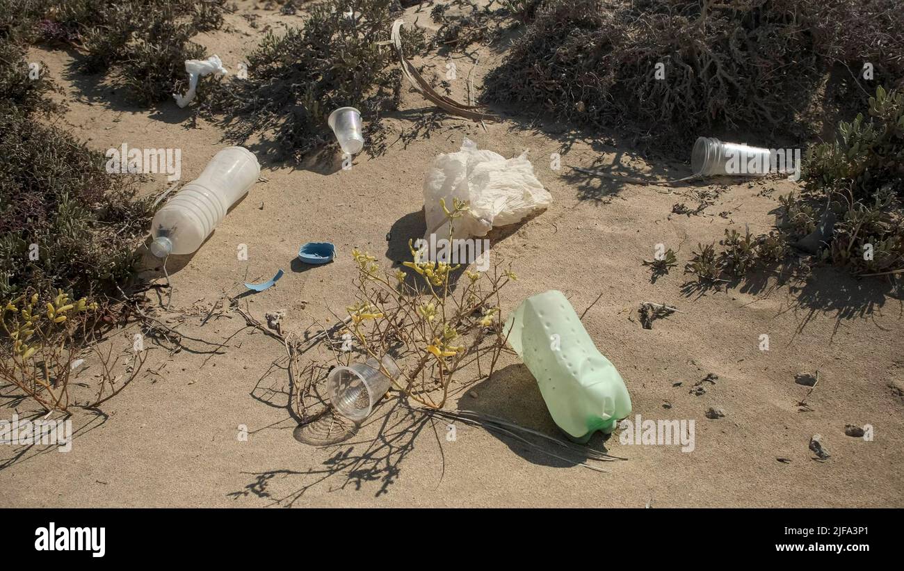 Plastic trash in the desert. Plastic pollution in sandy desert. Egypt ...