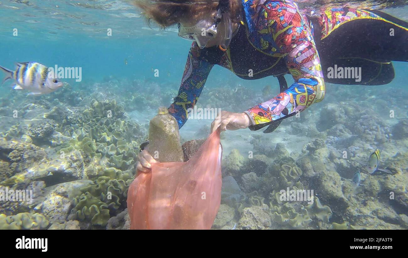 Woman in diving equipment swims and collects plastic debris underwater ...