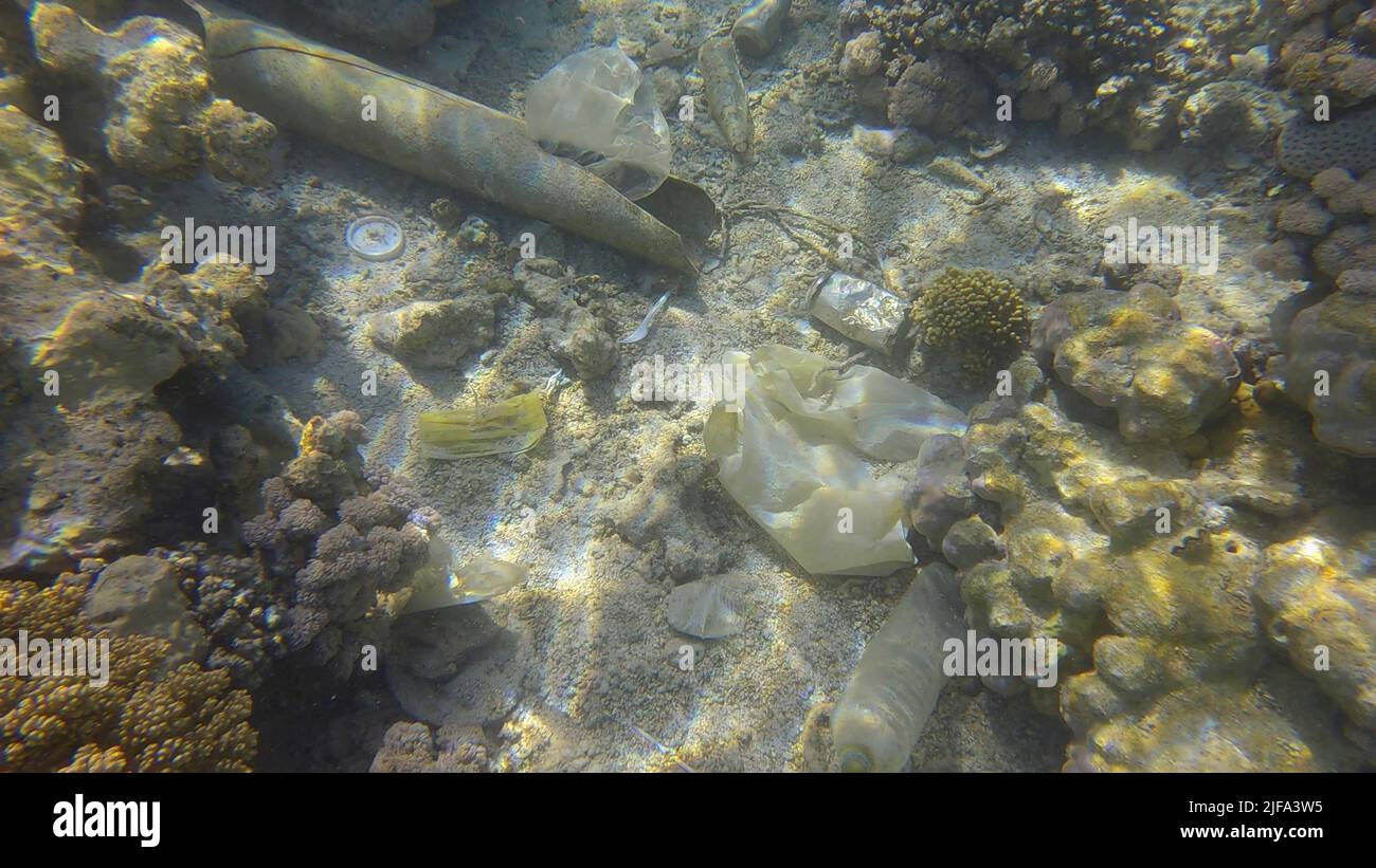 Seabed of beautiful coral reef covered with plastic and other garbage ...