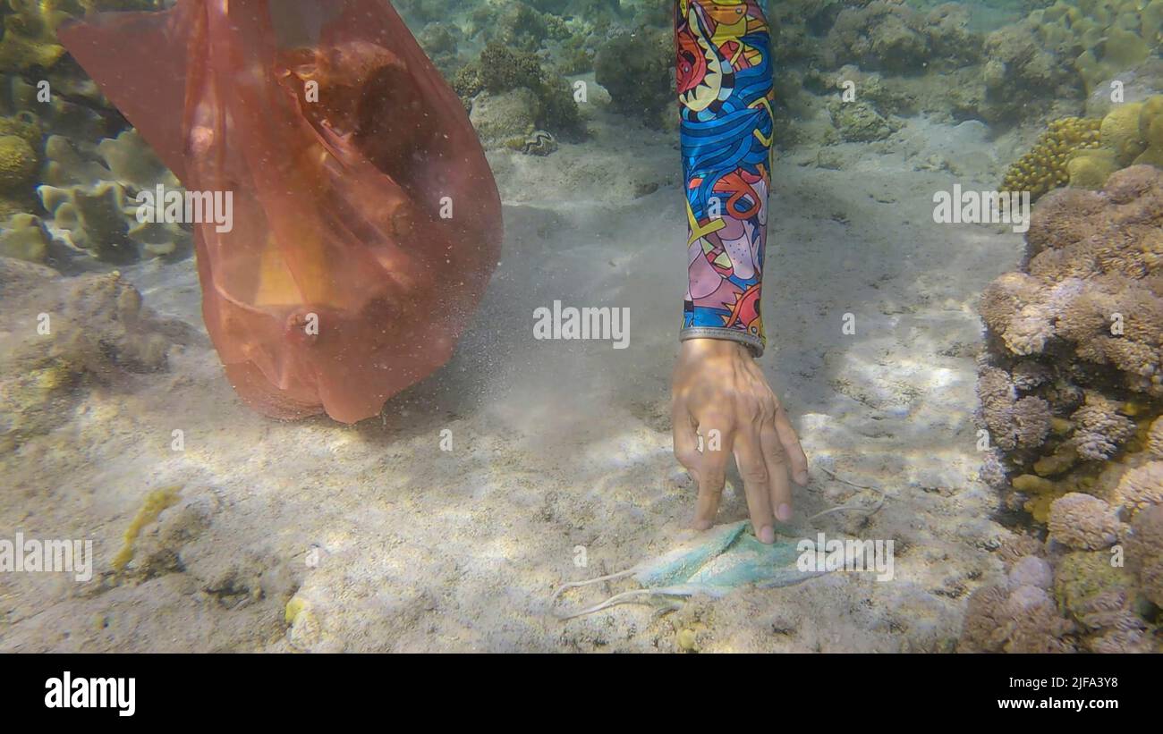 Woman in diving equipment swims and collects plastic debris underwater ...