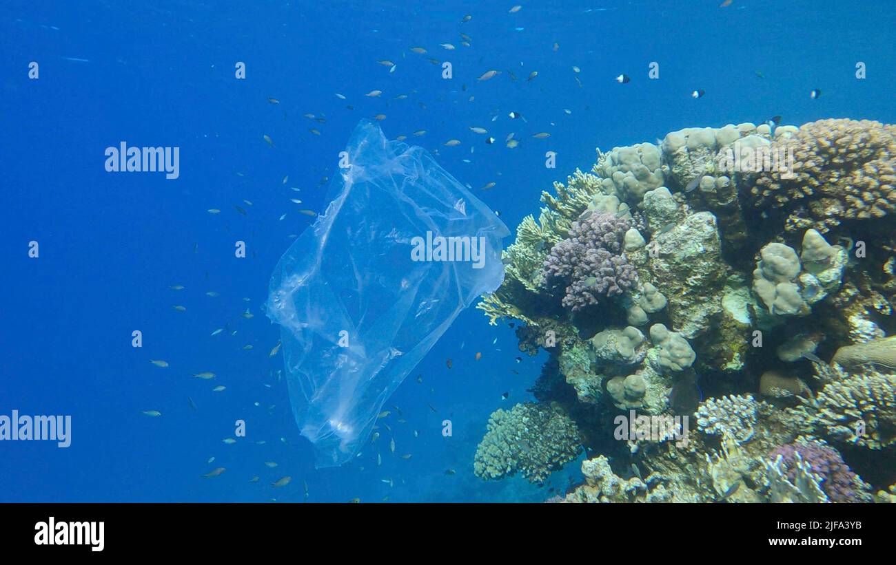 Plastic pollution of the Ocean, a discarded wtite plastic bag on ...