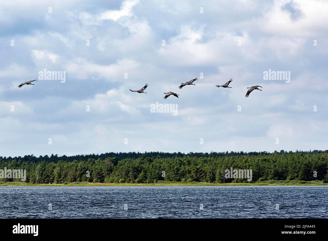 Slite gotland hi-res stock photography and images - Alamy