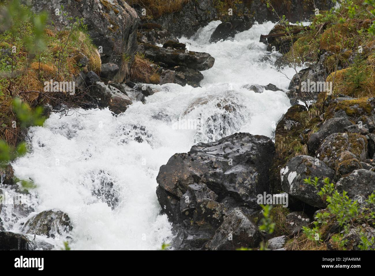 Mountain stream, Lofoten, Norway Stock Photo - Alamy
